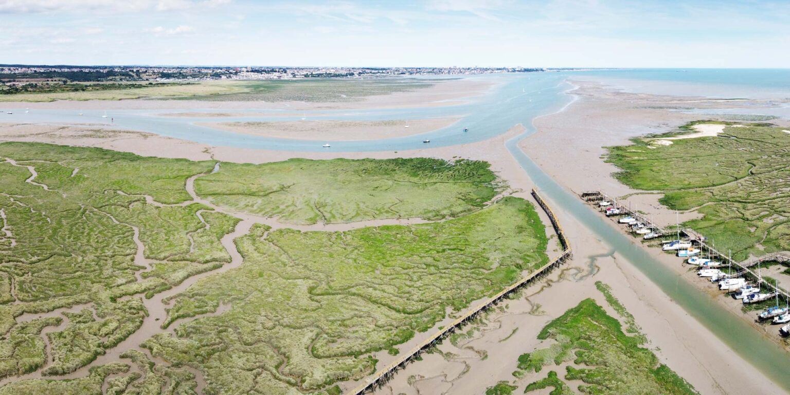 Creative Estuary | What's here?