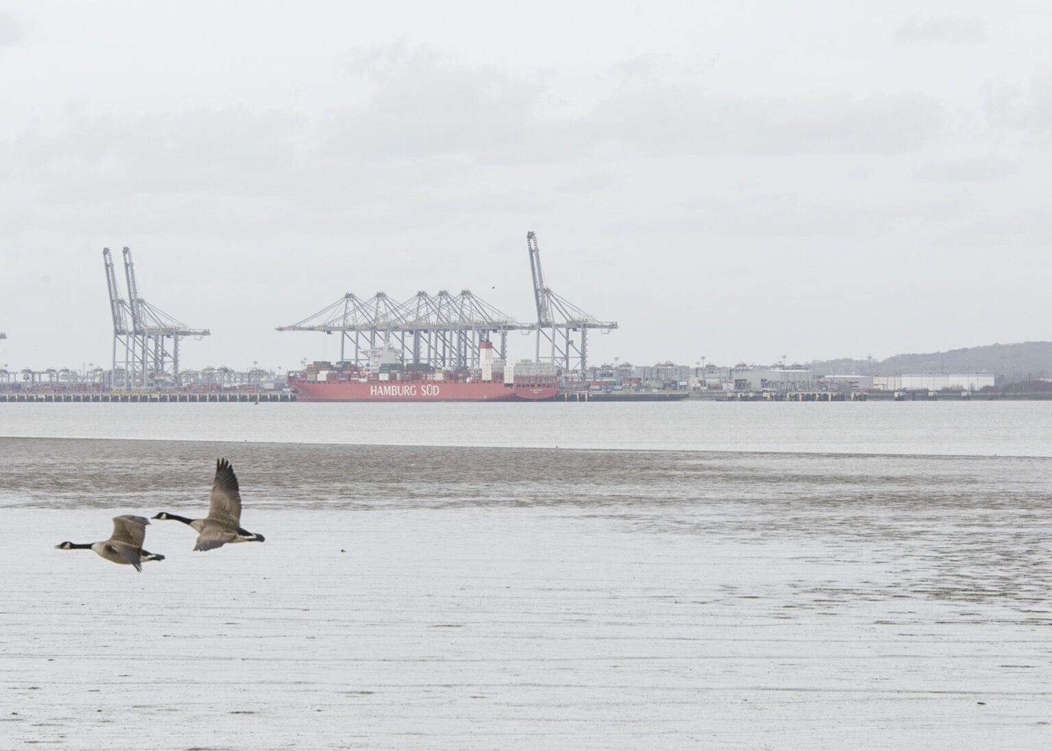 Creative Estuary | Estuary 2021