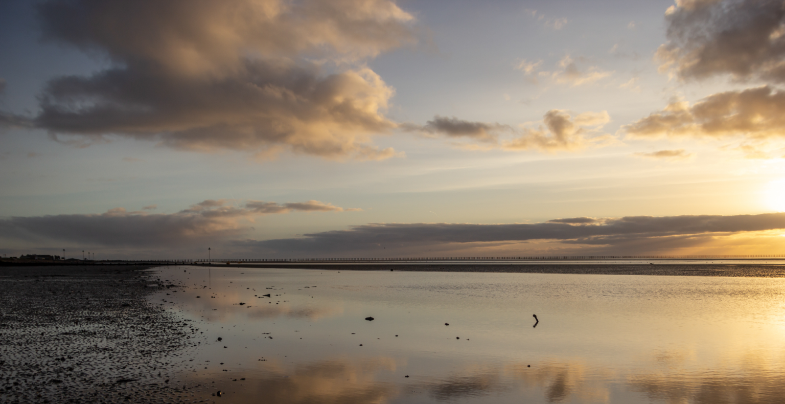 Creative Estuary | Introducing our new Director